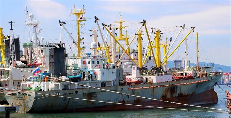 APOLLO FLYER - Vesseljoin