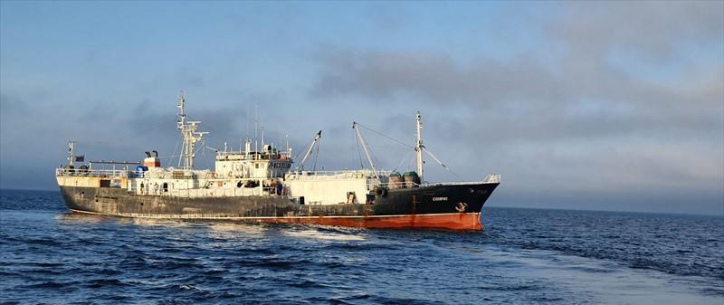 SOLYARIS - Vesseljoin