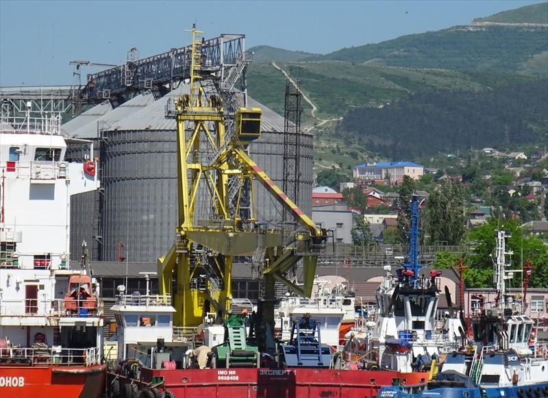 EXPERT 1 - Vesseljoin