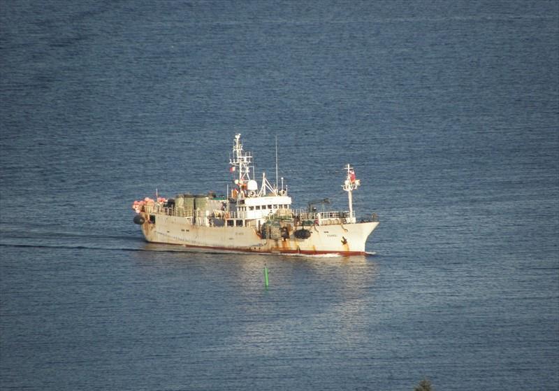 SOLID 1 - Vesseljoin