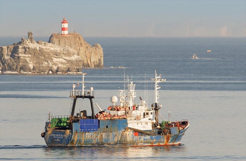 ALEKSANDR SHALIN - Vesseljoin