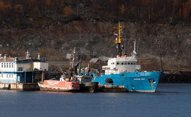 MORSKOY BRIZ - Vesseljoin