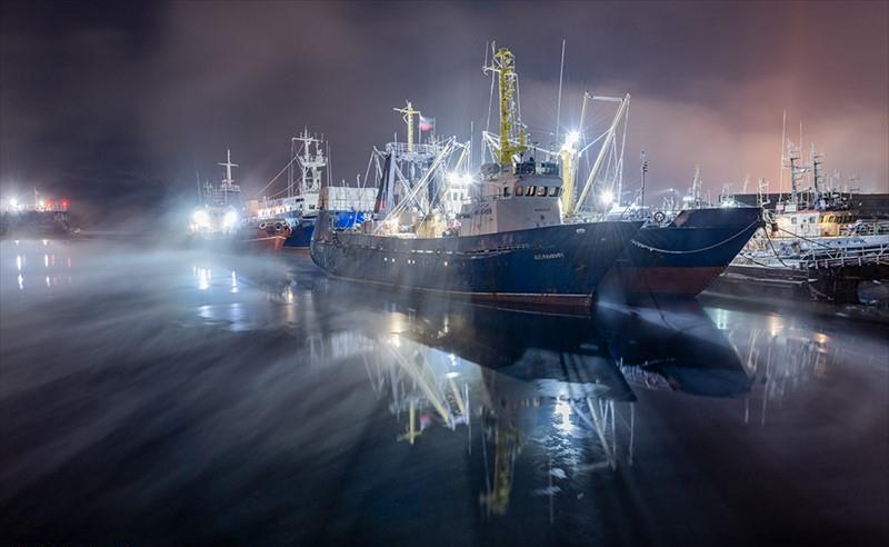 DOLPHIN - Vesseljoin