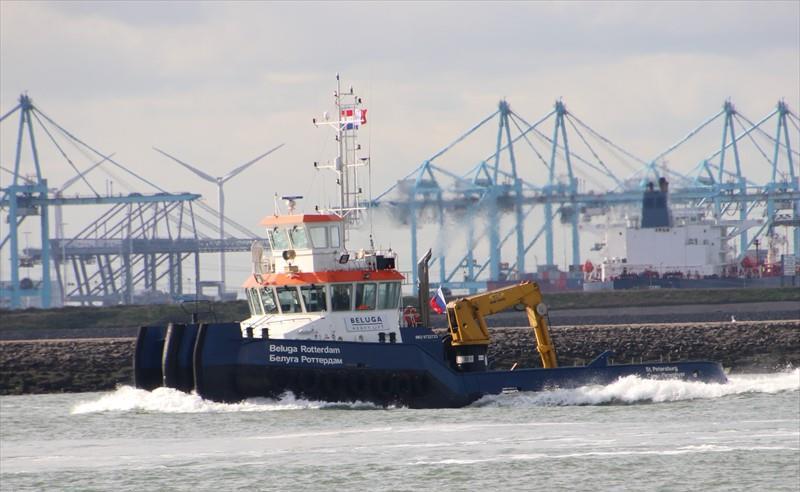 BELUGA ROTTERDAM - Vesseljoin