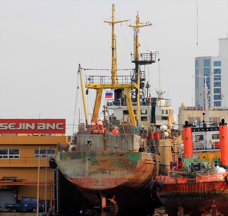 IVAN MOSHLYAK - Vesseljoin