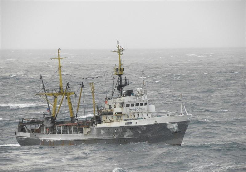 DMITRIY SHEVCHENKO - Vesseljoin