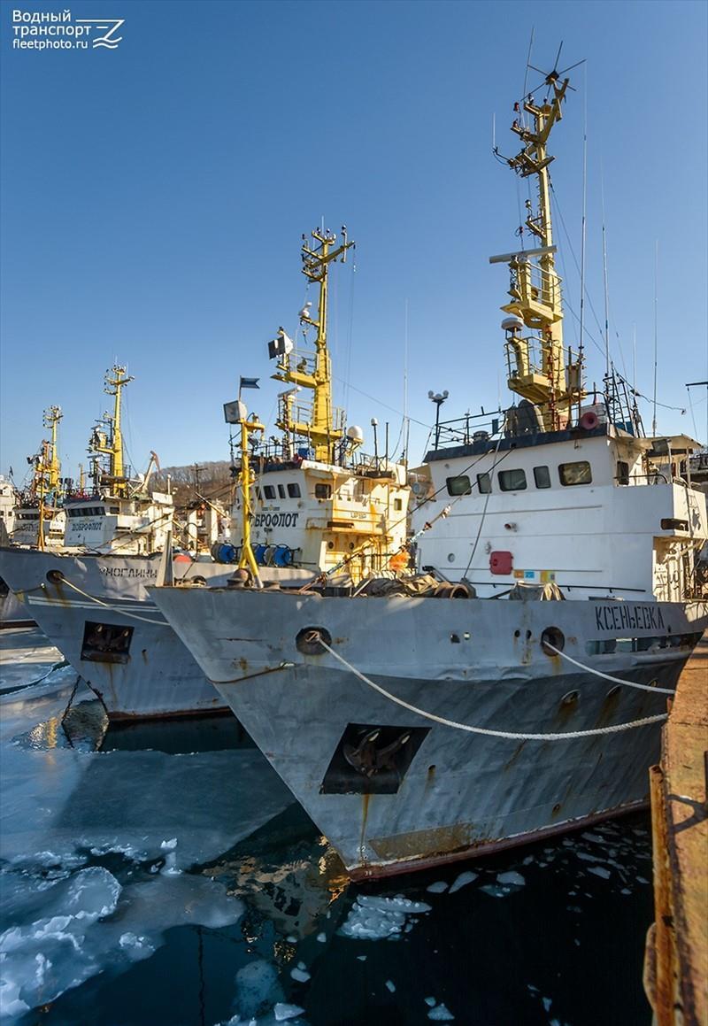 NOGLIKI - Vesseljoin