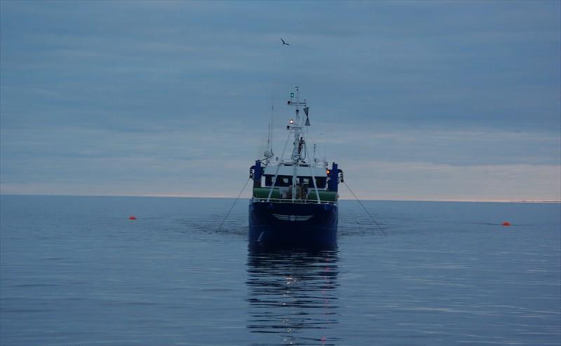 TENACIOUS - Vesseljoin