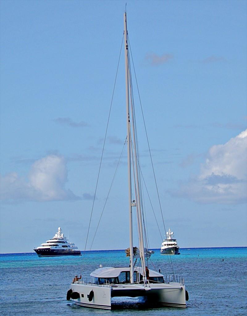 CYGNUS CYGNUS - Vesseljoin