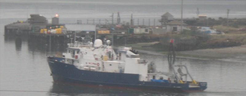 BOLD HORIZON - Vesseljoin