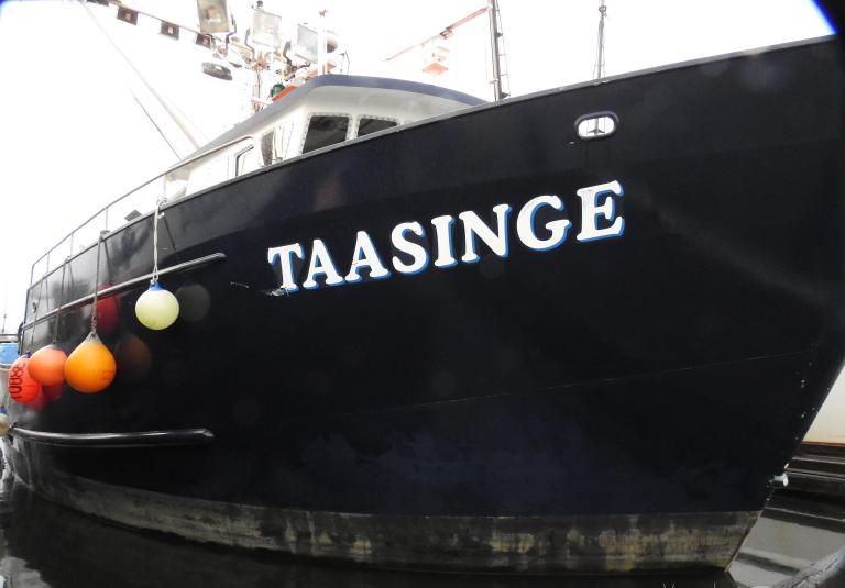 TAASINGE - Vesseljoin