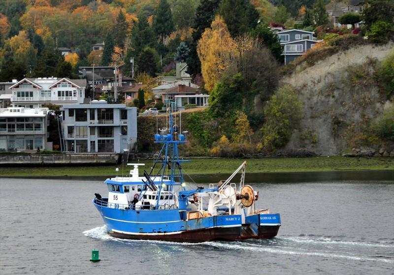 MARCY J - Vesseljoin