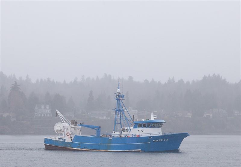 MARCY J - Vesseljoin