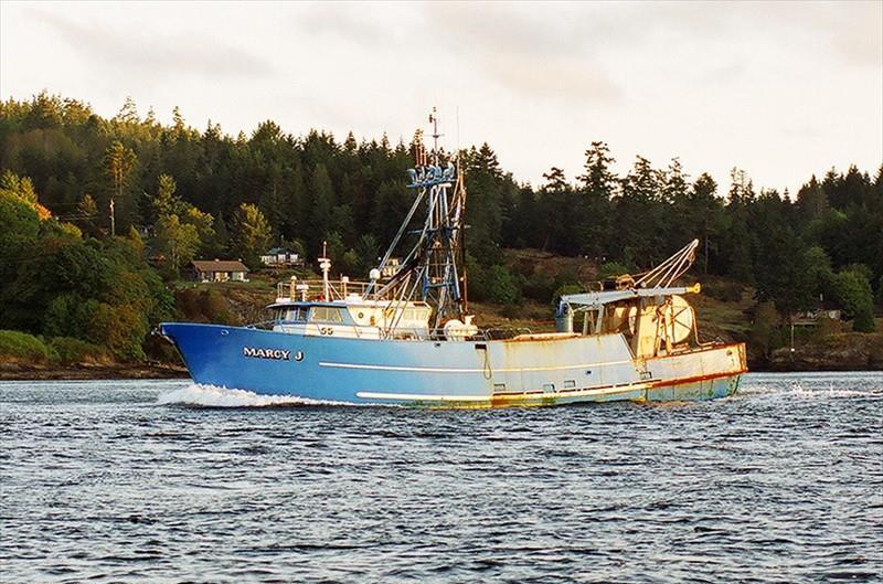 MARCY J - Vesseljoin