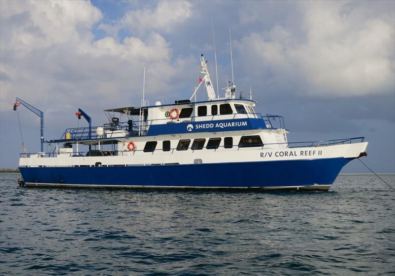 CORAL REEF II - Vesseljoin