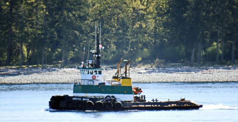 ARCTIC BEAR - Vesseljoin