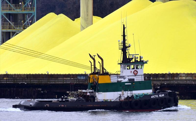 ARCTIC BEAR - Vesseljoin