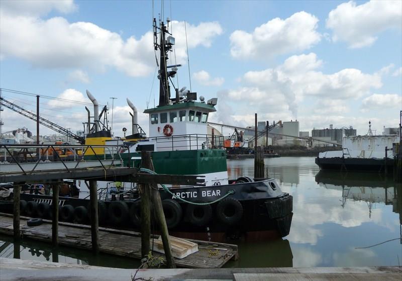 ARCTIC BEAR - Vesseljoin