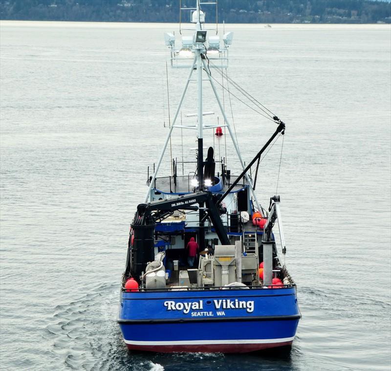 ROYAL VIKING - Vesseljoin