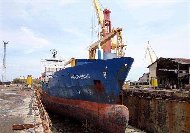 DELPHINUS - Vesseljoin