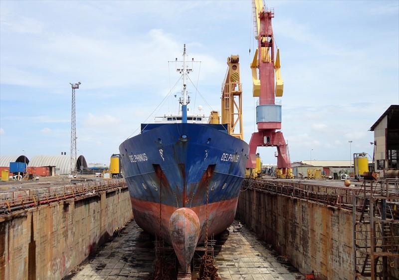 DELPHINUS - Vesseljoin