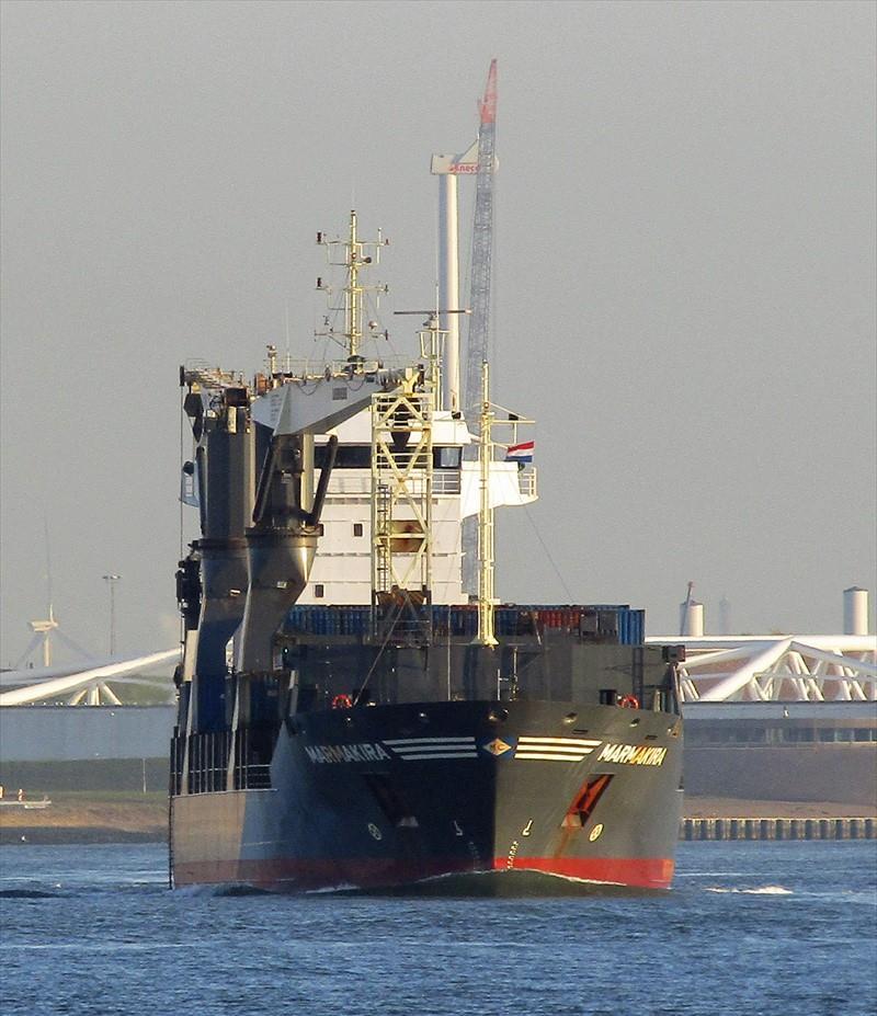 ONEGO BAYOU (General Cargo) - IMO: 9369069 | Vessel Details