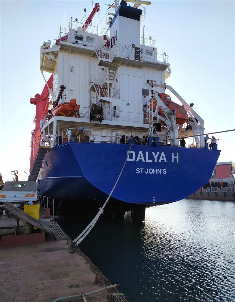 DALYA H - Vesseljoin