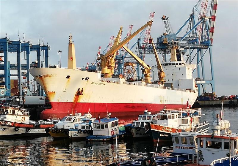 BELUGA REEFER - Vesseljoin