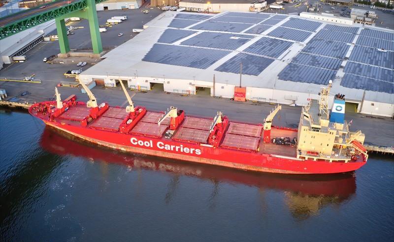 JORGEN REEFER - Vesseljoin