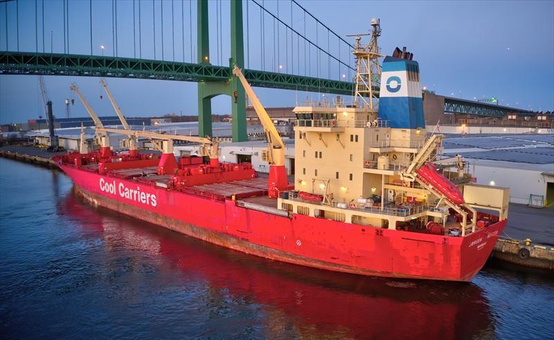 JORGEN REEFER - Vesseljoin