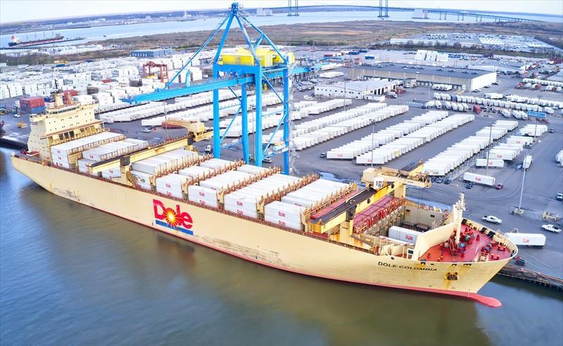 DOLE COLOMBIA - Vesseljoin