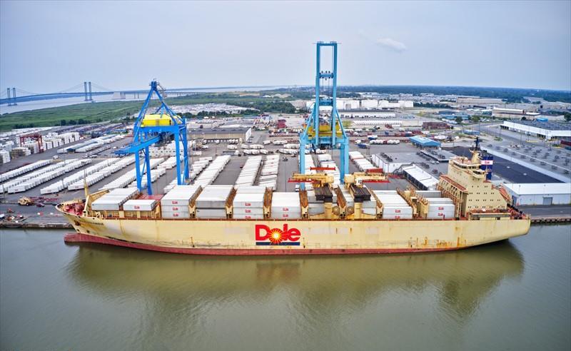 DOLE COLOMBIA - Vesseljoin