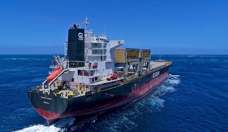 PENGUIN ARROW - Vesseljoin