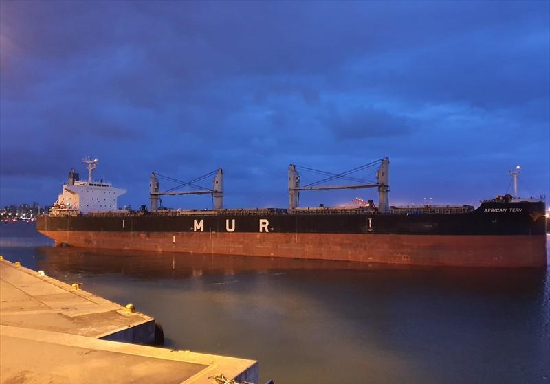 AFRICAN TERN - Vesseljoin