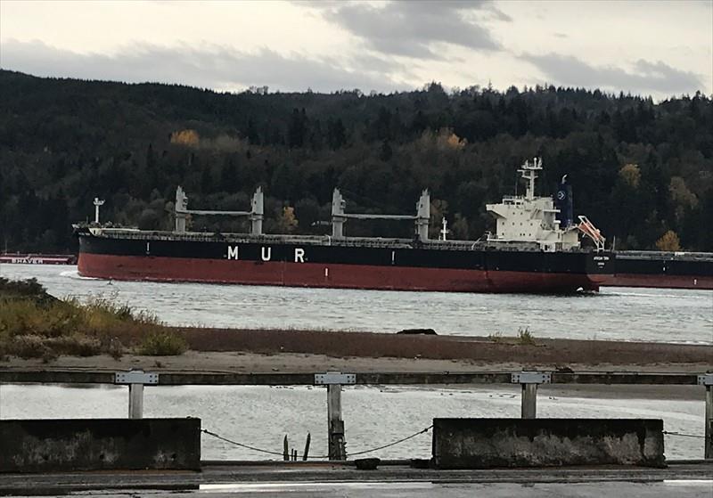 AFRICAN TERN - Vesseljoin