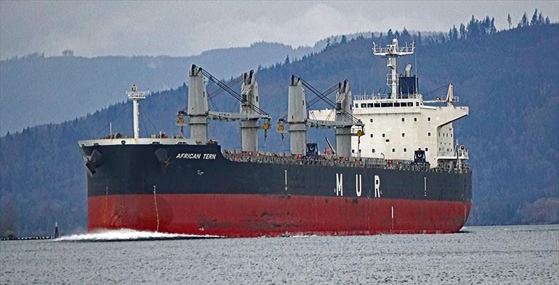 AFRICAN TERN - Vesseljoin