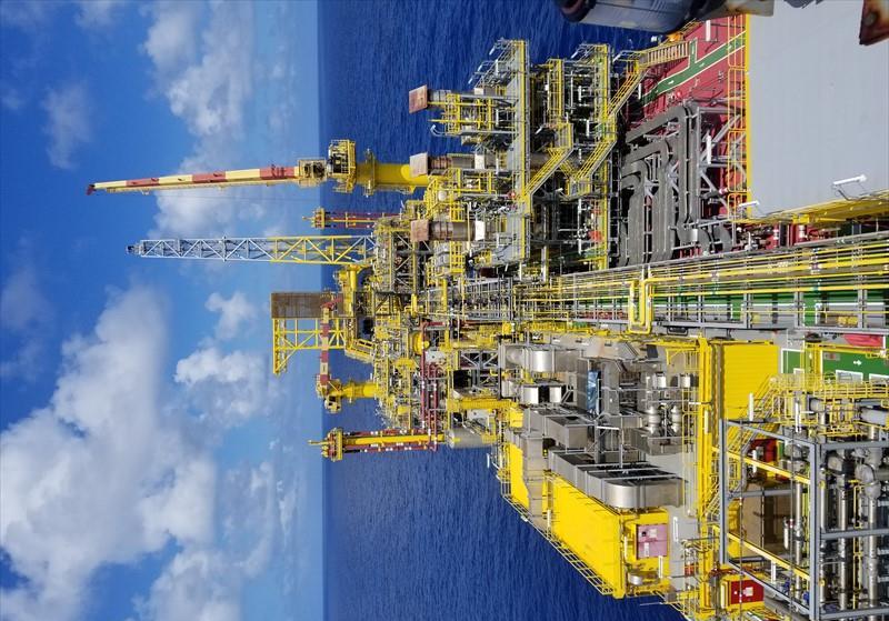 TURRITELLA - Vesseljoin