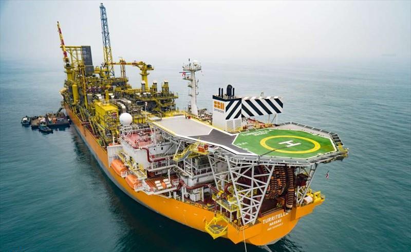 TURRITELLA - Vesseljoin