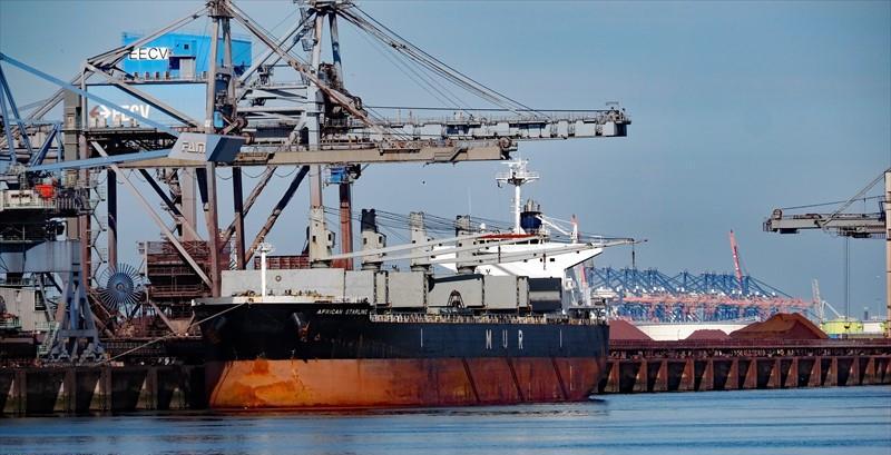 AFRICAN STARLING - Vesseljoin