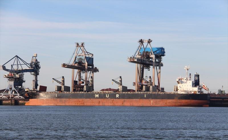 AFRICAN STARLING - Vesseljoin