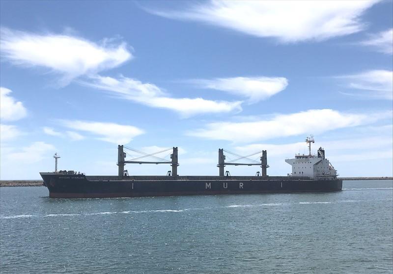 AFRICAN STARLING - Vesseljoin