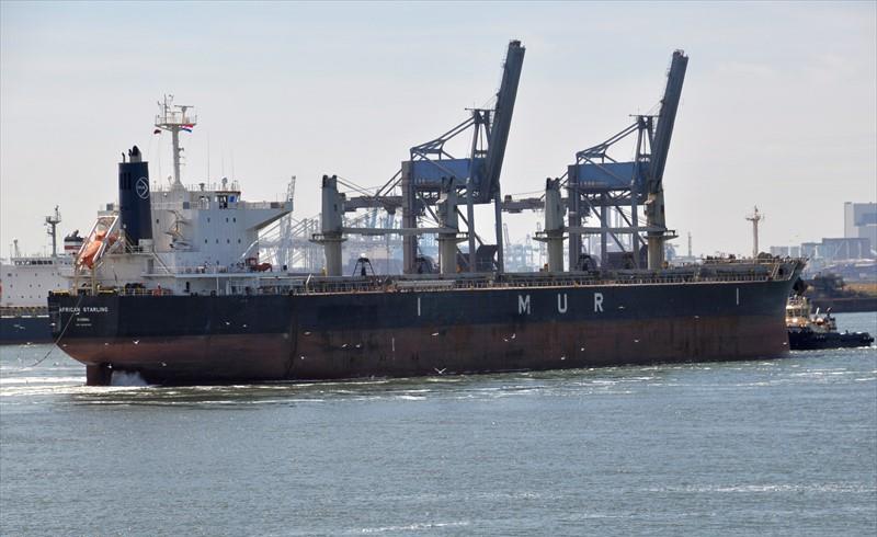 AFRICAN STARLING - Vesseljoin