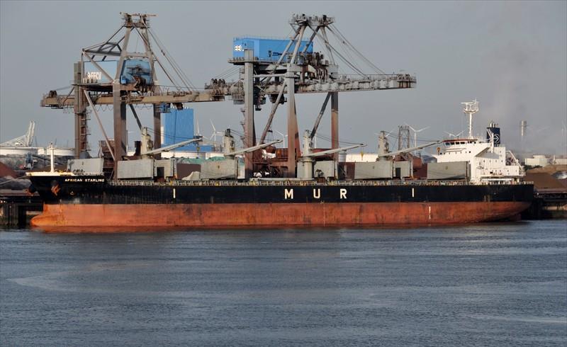 AFRICAN STARLING - Vesseljoin