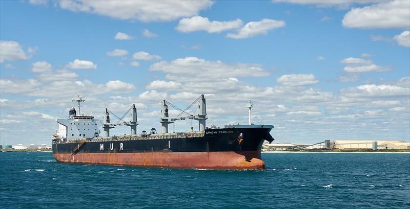 AFRICAN STARLING - Vesseljoin