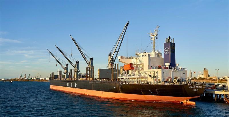 AFRICAN PELICAN - Vesseljoin