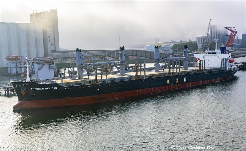 AFRICAN PELICAN - Vesseljoin