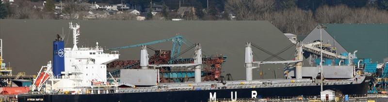 AFRICAN RAPTOR - Vesseljoin