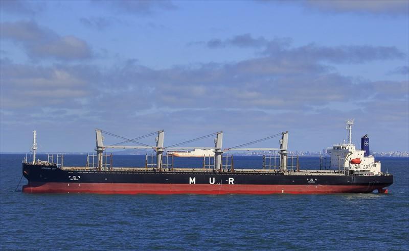 AFRICAN JAY - Vesseljoin