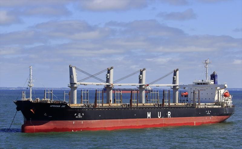 AFRICAN JAY - Vesseljoin