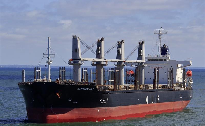 AFRICAN JAY - Vesseljoin